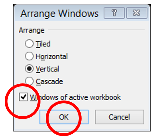 View Two Excel Worksheets Side by side